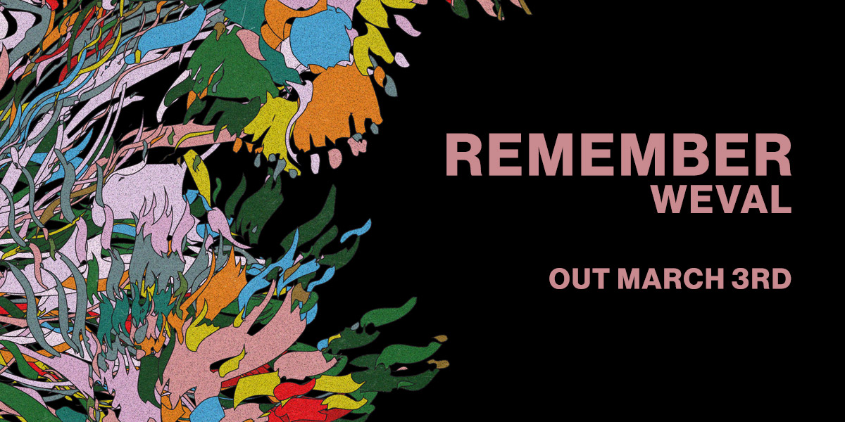 Weval Official Merchandise